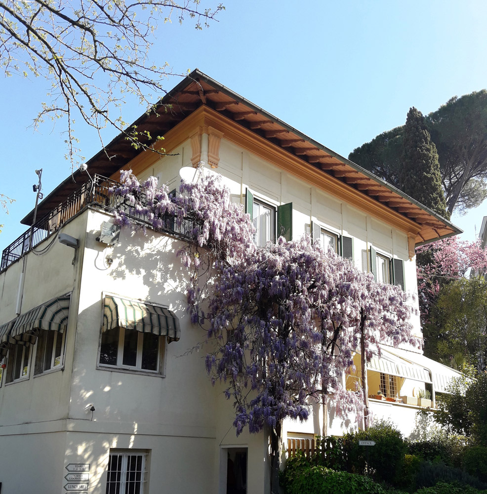 The New School Rome – John Catt's School Search