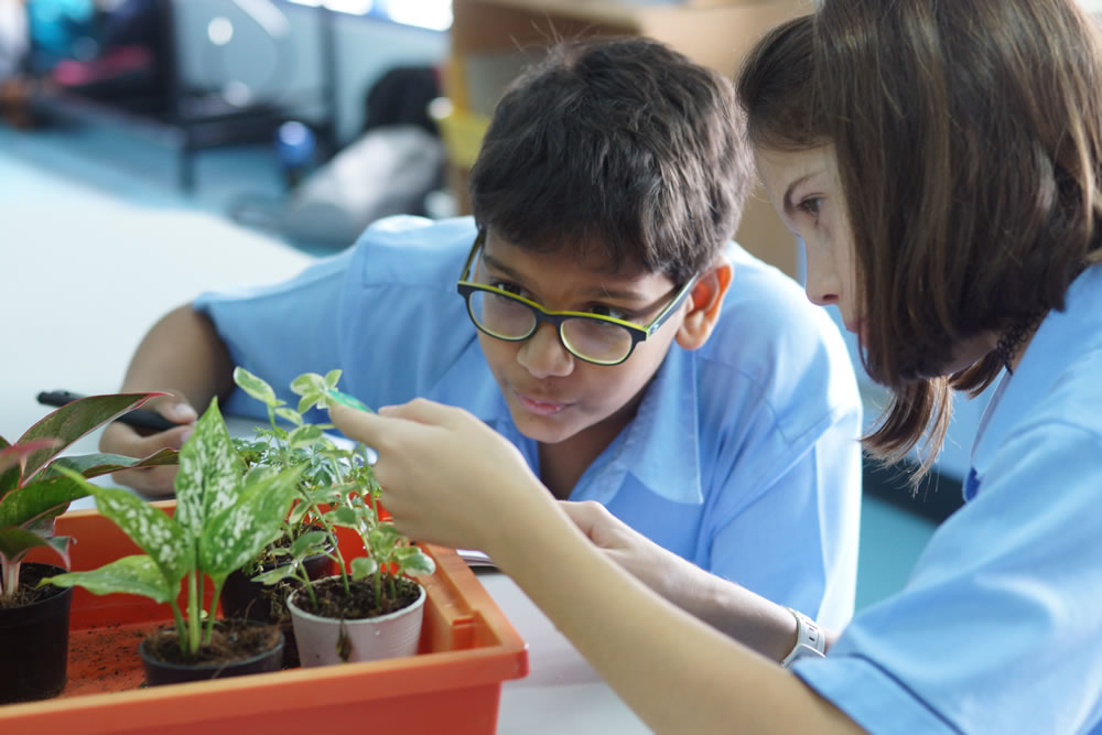 KIS International School International School